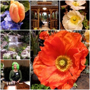 Toronto Travel: Canada Blooms – Canada’s Largest Flower and Garden Show ...